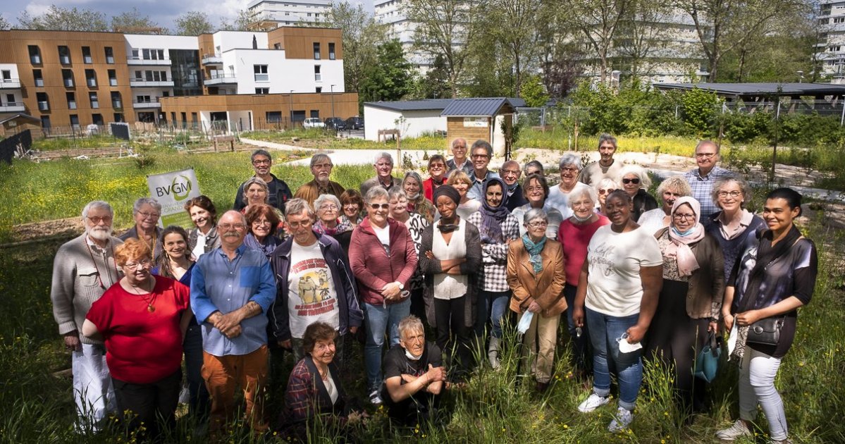 Base de données Habitat Participatif et Oasis : BVGM - 4 Saisons