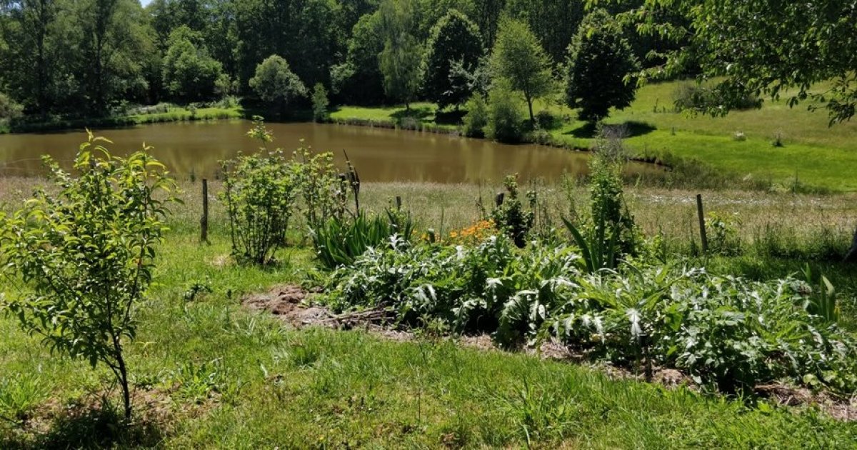 Base de données Habitat Participatif et Oasis : La Toupie qui sème